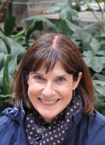 Meet the HMViP Team | HMViP